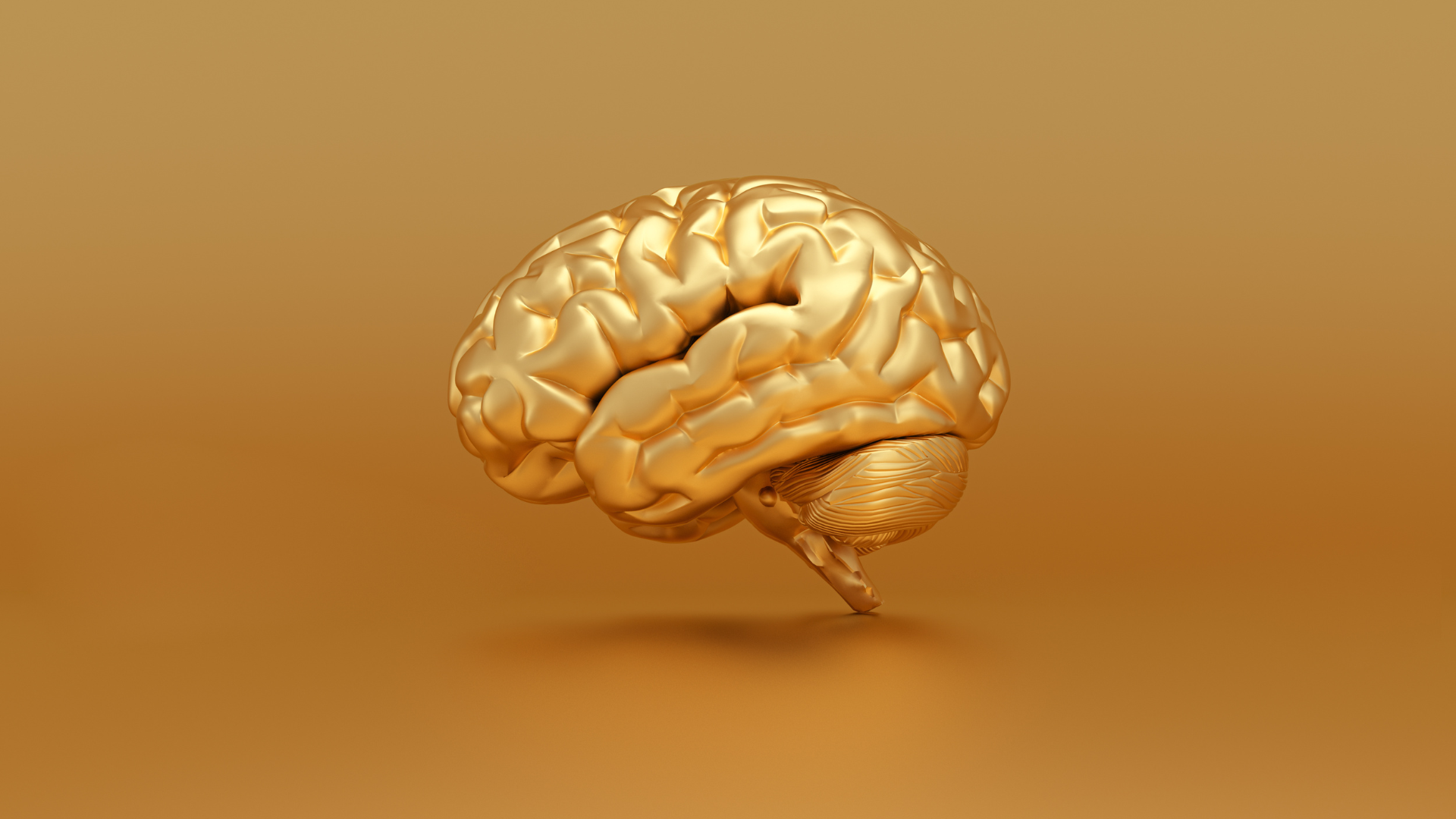 Understanding Traumatic Brain Injury, POTS, and Brain Function – Dr Lisa O